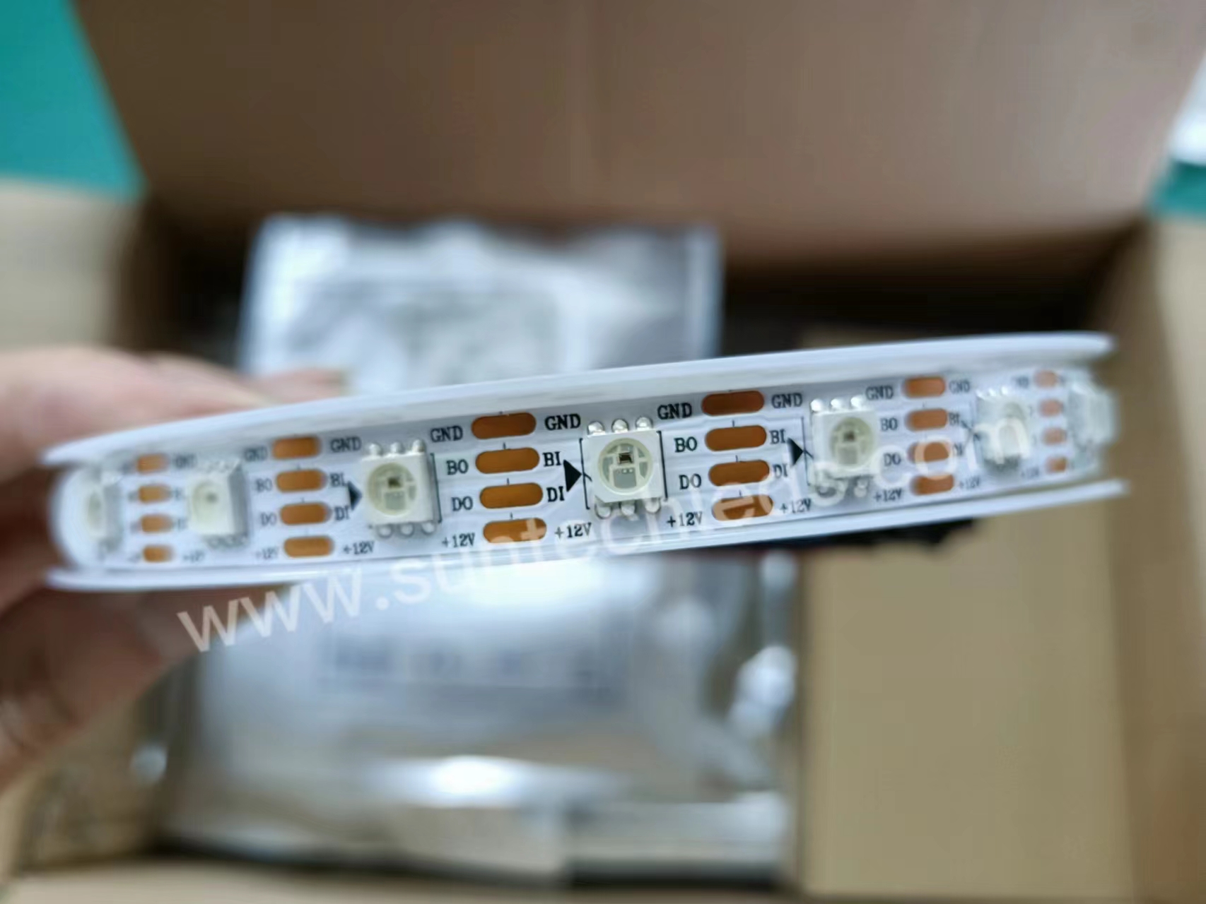 675m RGB WS2815 Addressable LED Strip Has Been Sent to Georgia ...